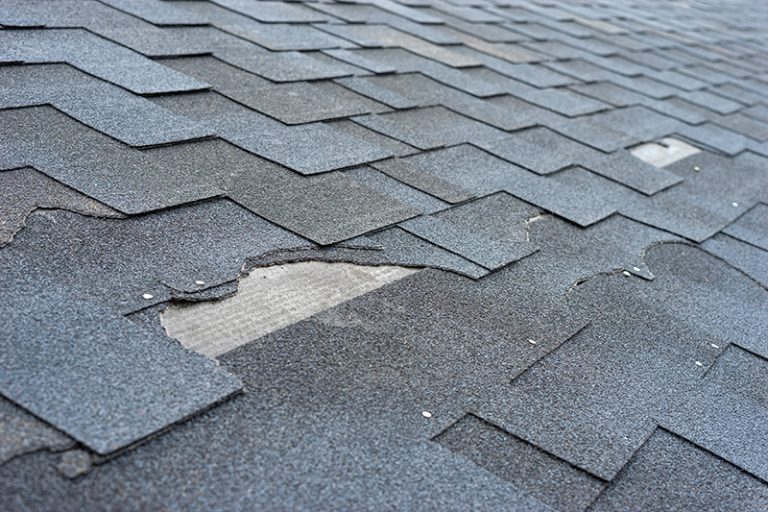 Tapping into Professional Roofing Services: Preventing Further Damage ...